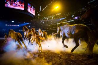 Houston Hotels, Things to Do, Events, Restaurants & Vacation Planning