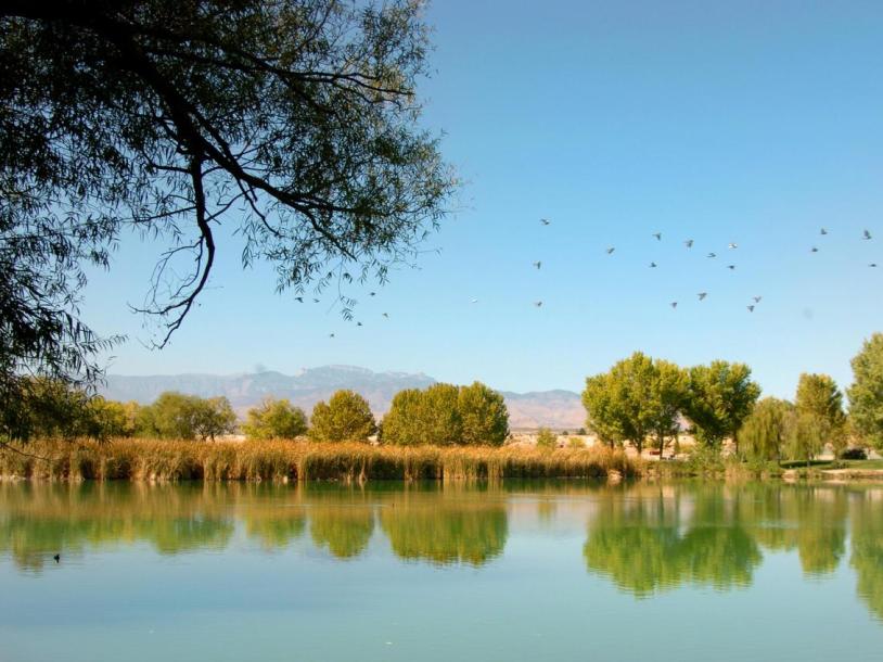 Floyd Lamb Park at Tule Springs | Las Vegas, NV
