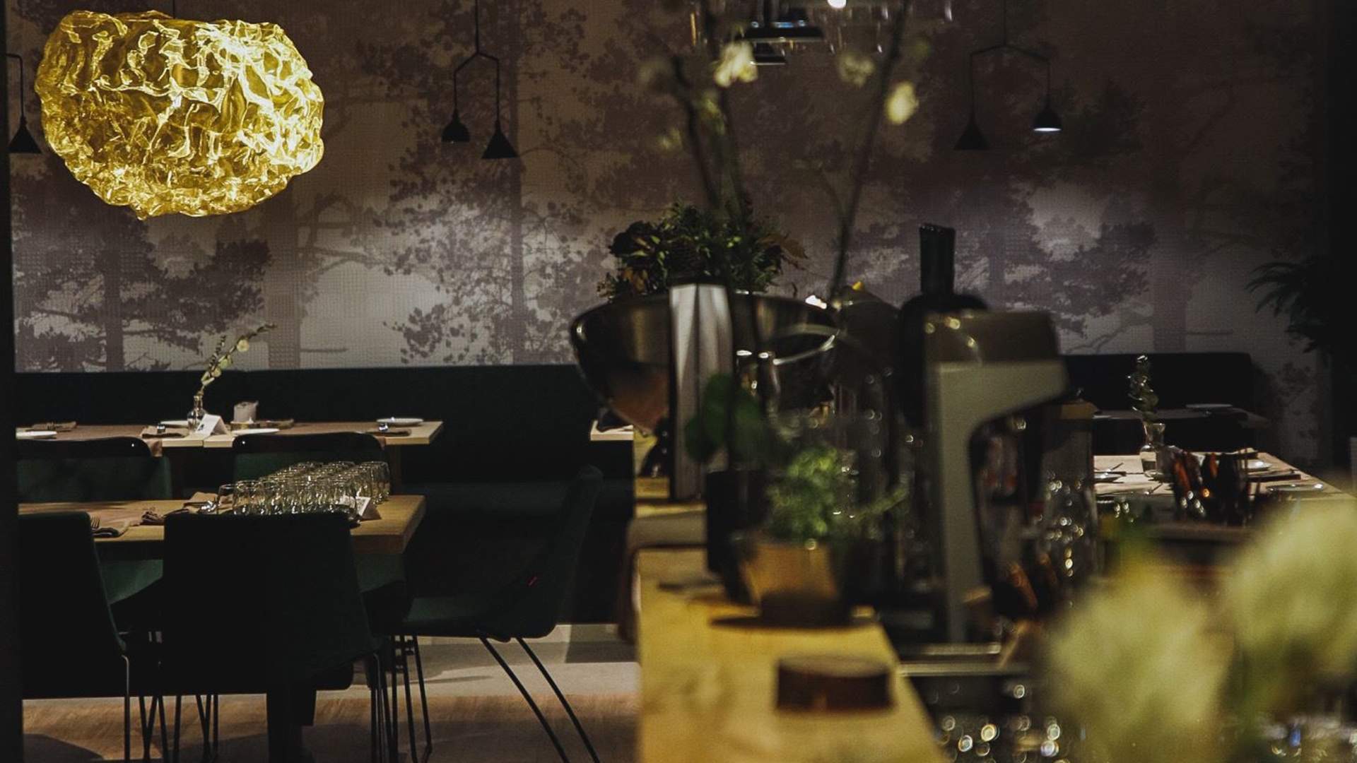 Furu Gastropub | Restaurants | Narvik | Norway