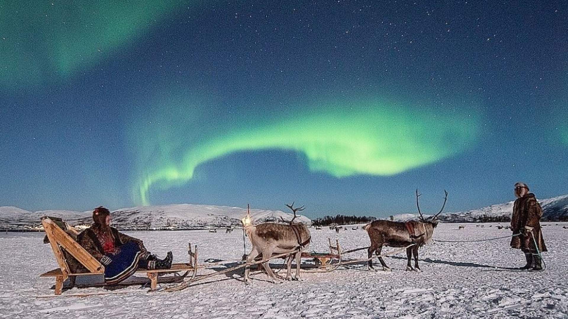 Night reindeer sledding with dinner and chance of Northern Lights
