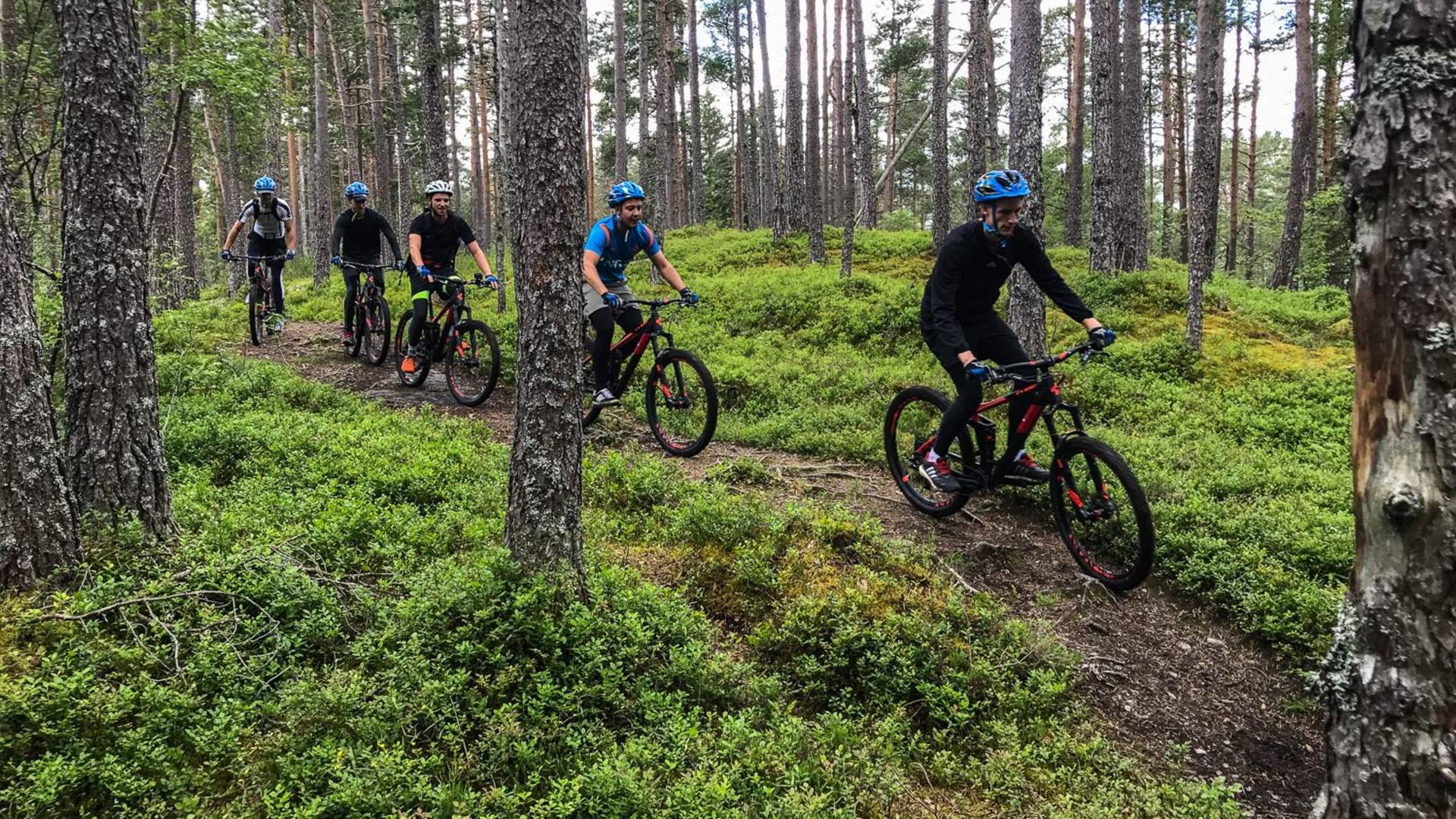 Guided MTB tours, Voss, Outdoor Norway