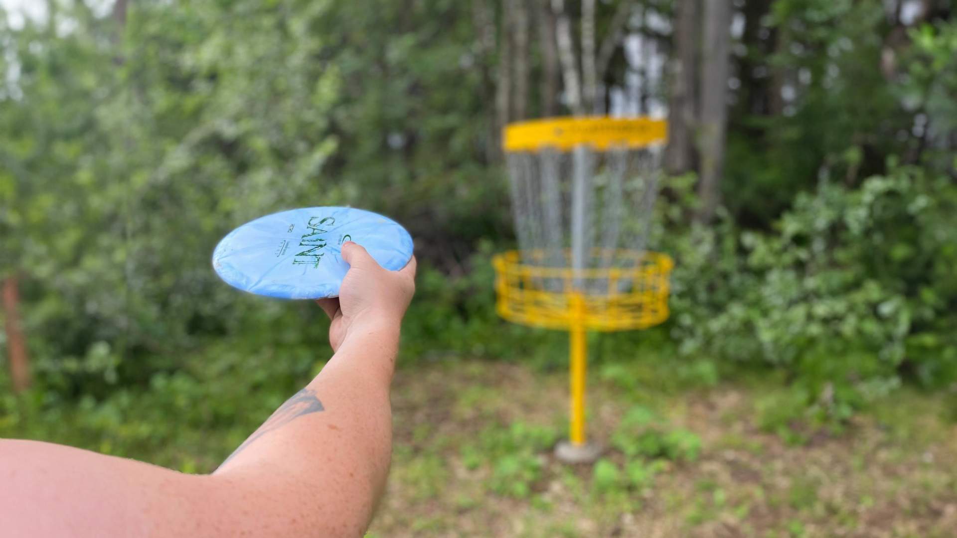 frisbee golf