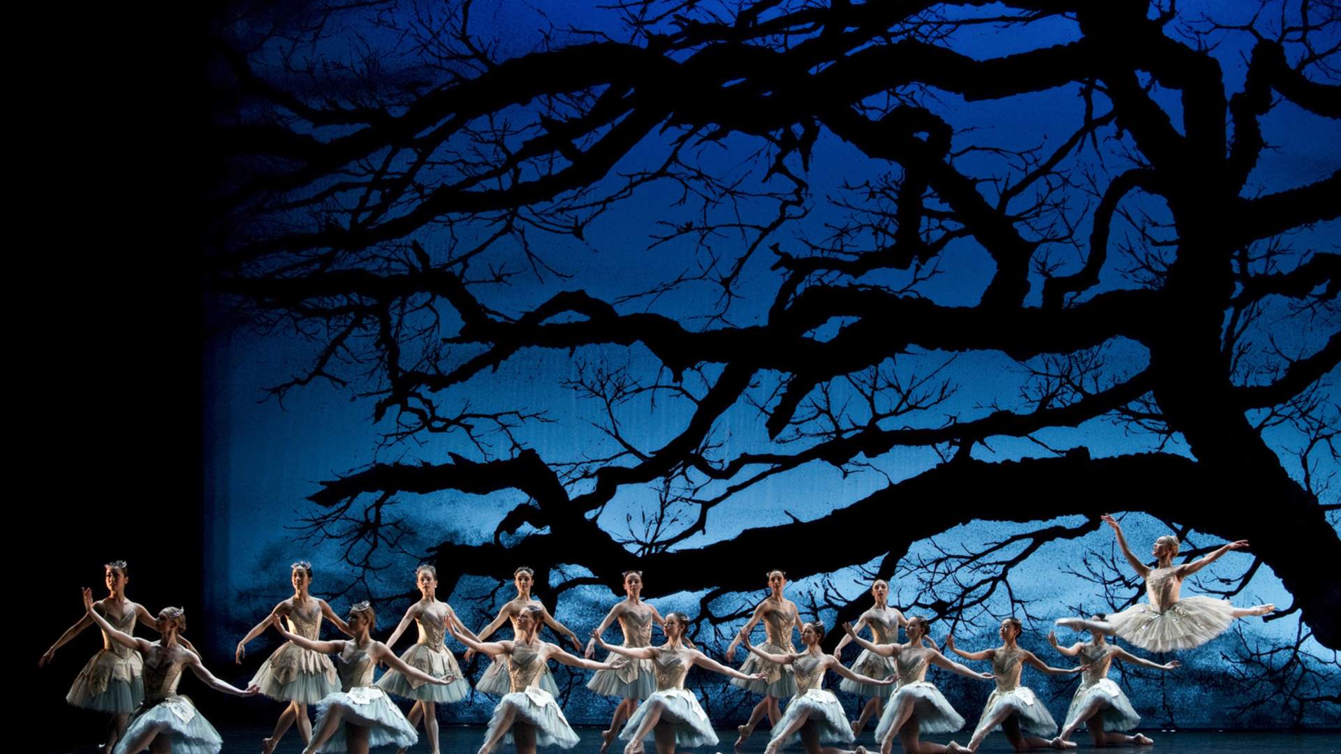 The Norwegian National Opera & Ballet