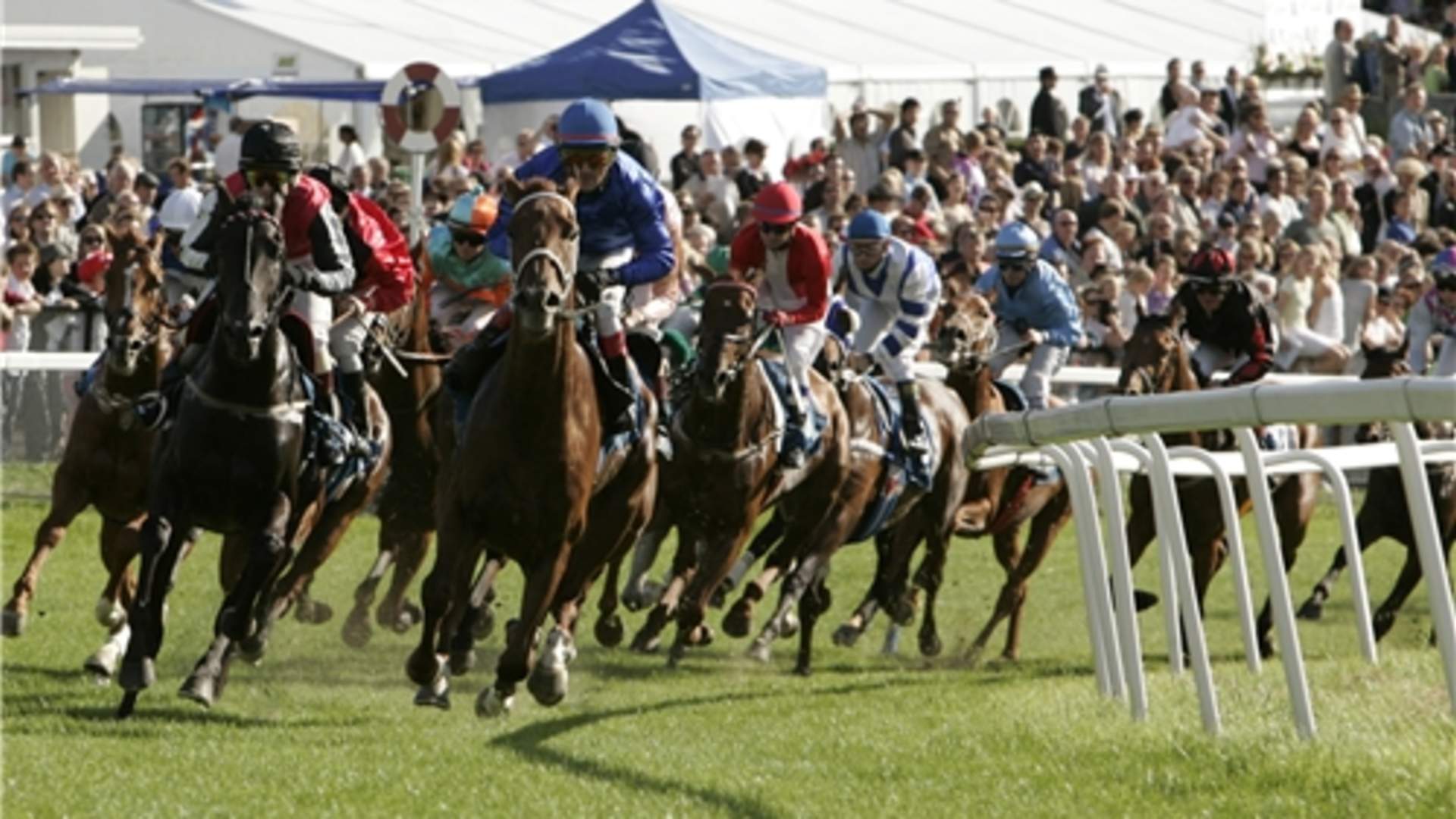 Overvoll Galopp track | Theme Parks | Jar | Norway