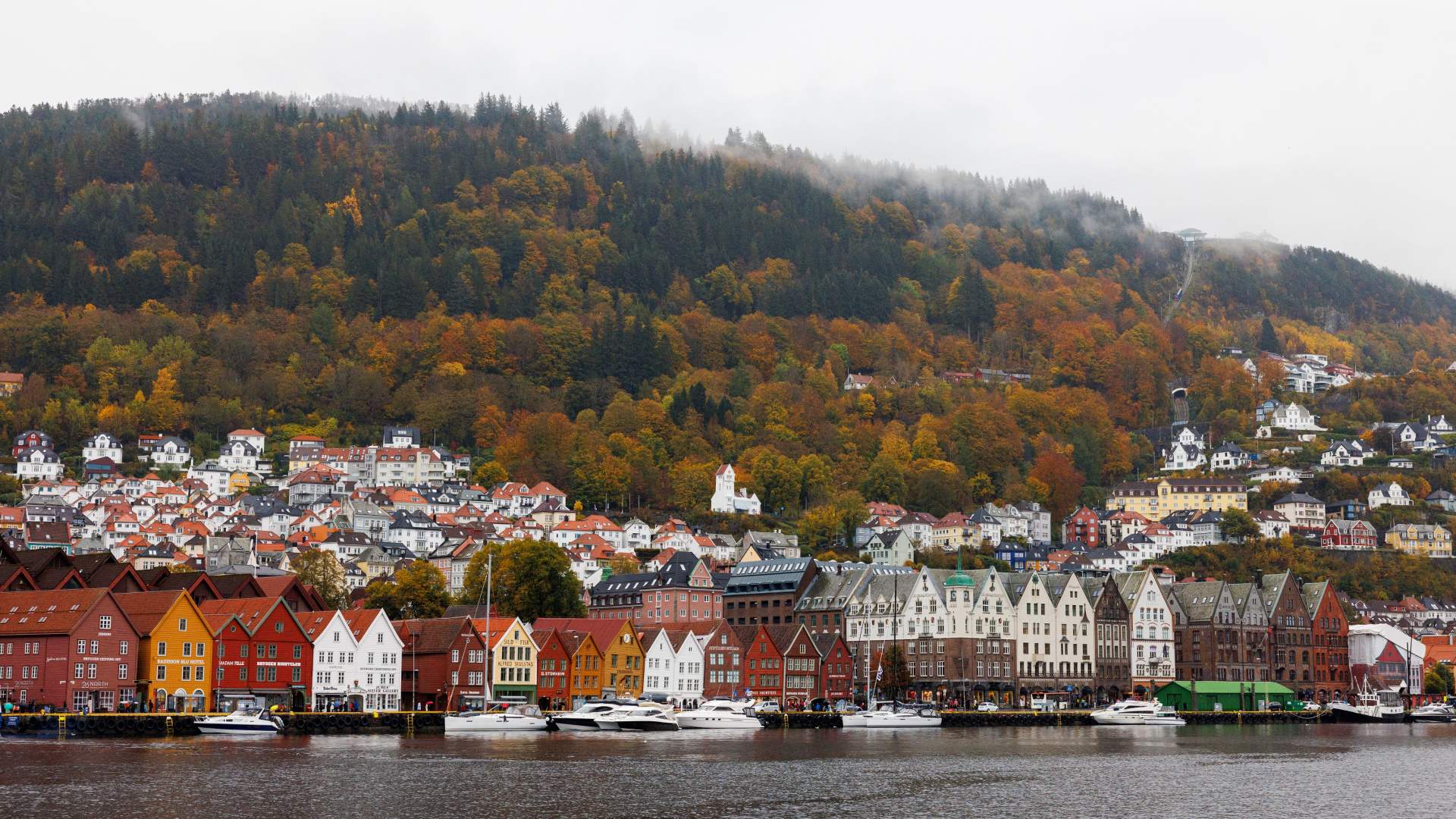 wallpaper bergen