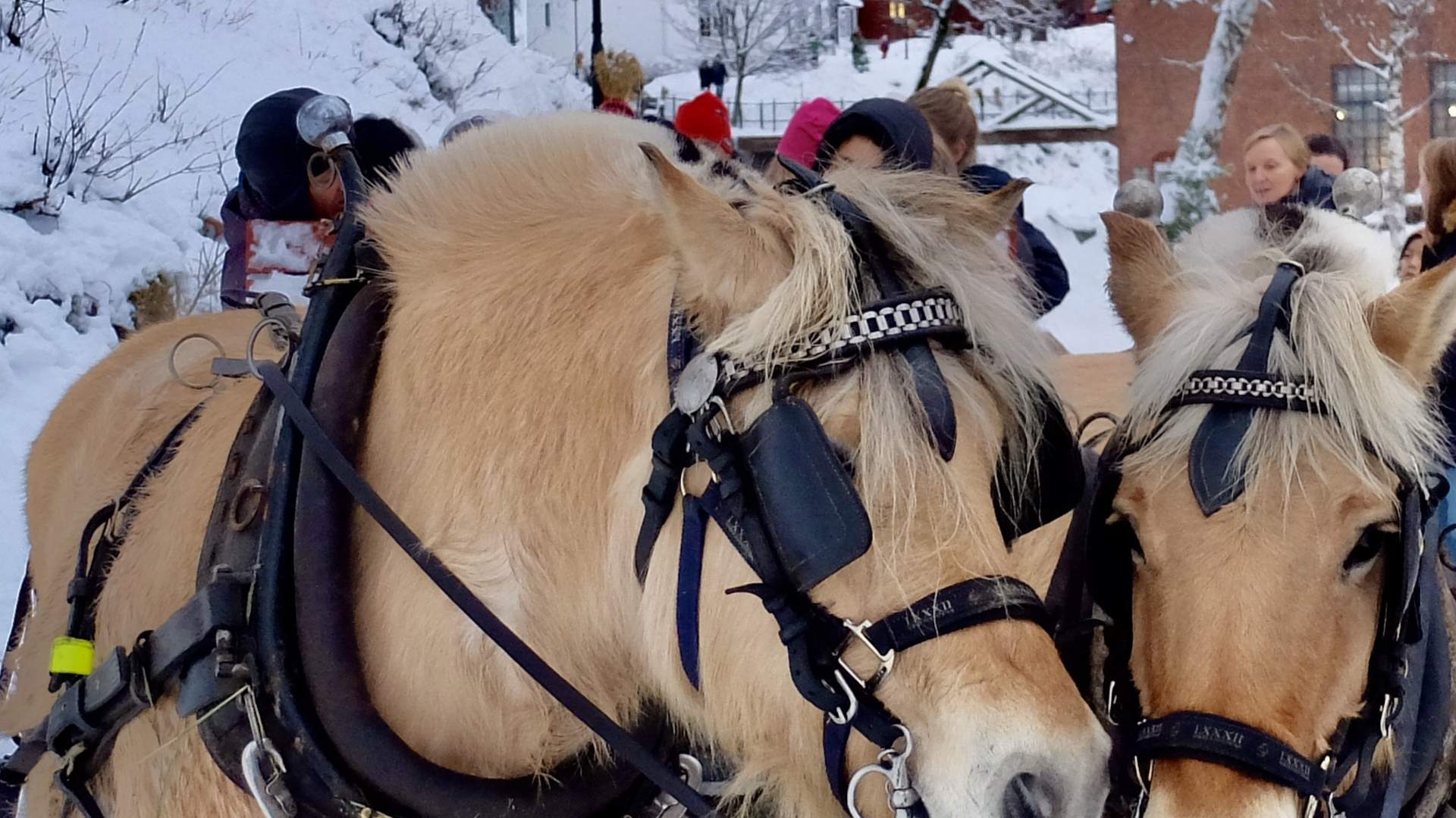 Julemarked på Bærums Verk | Food Traditions | Bærums Verk | Norway