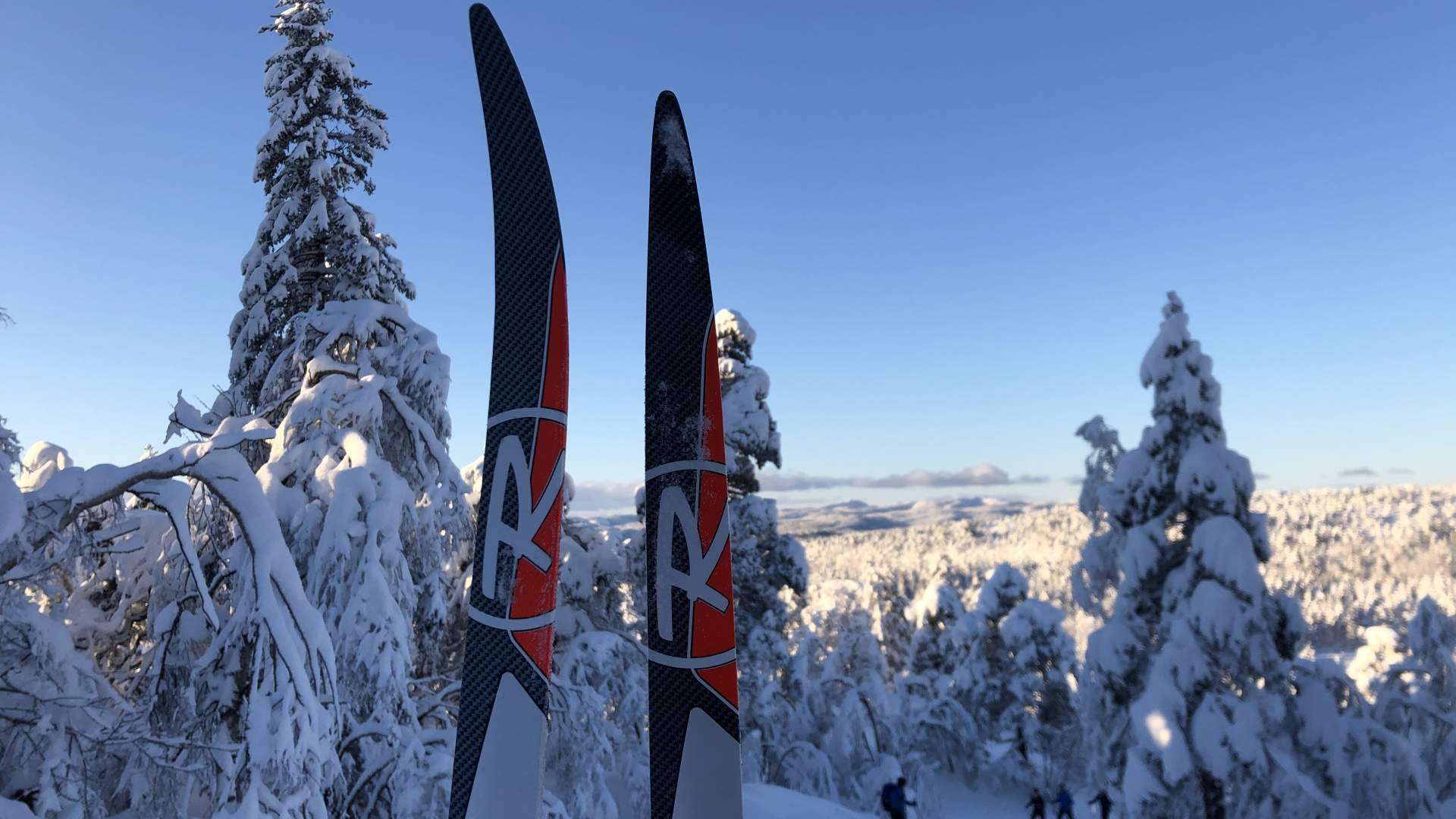 Høgås og Gautestad skiløyper i Evje | Tour Suggestions | Evje | Norway