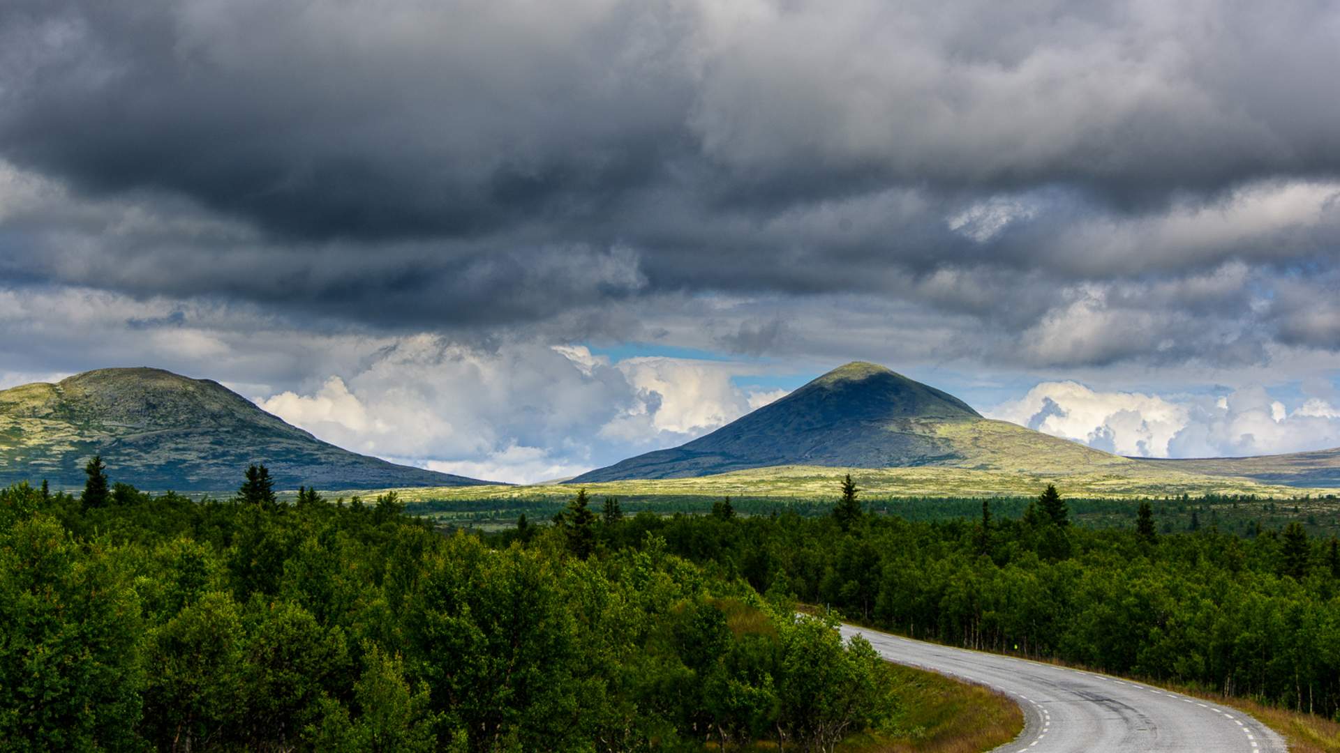 Nasjonal turistveg Rondane | Nature Attractions | Ringebu | Norway
