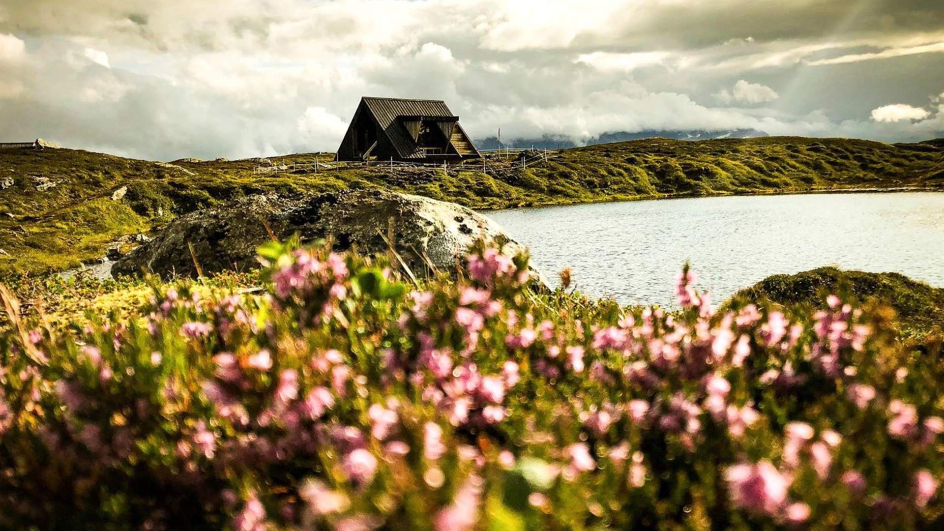 Day trip cabin in Naustdal - Steinkorshytta | Hiking | Naustdal | Norway