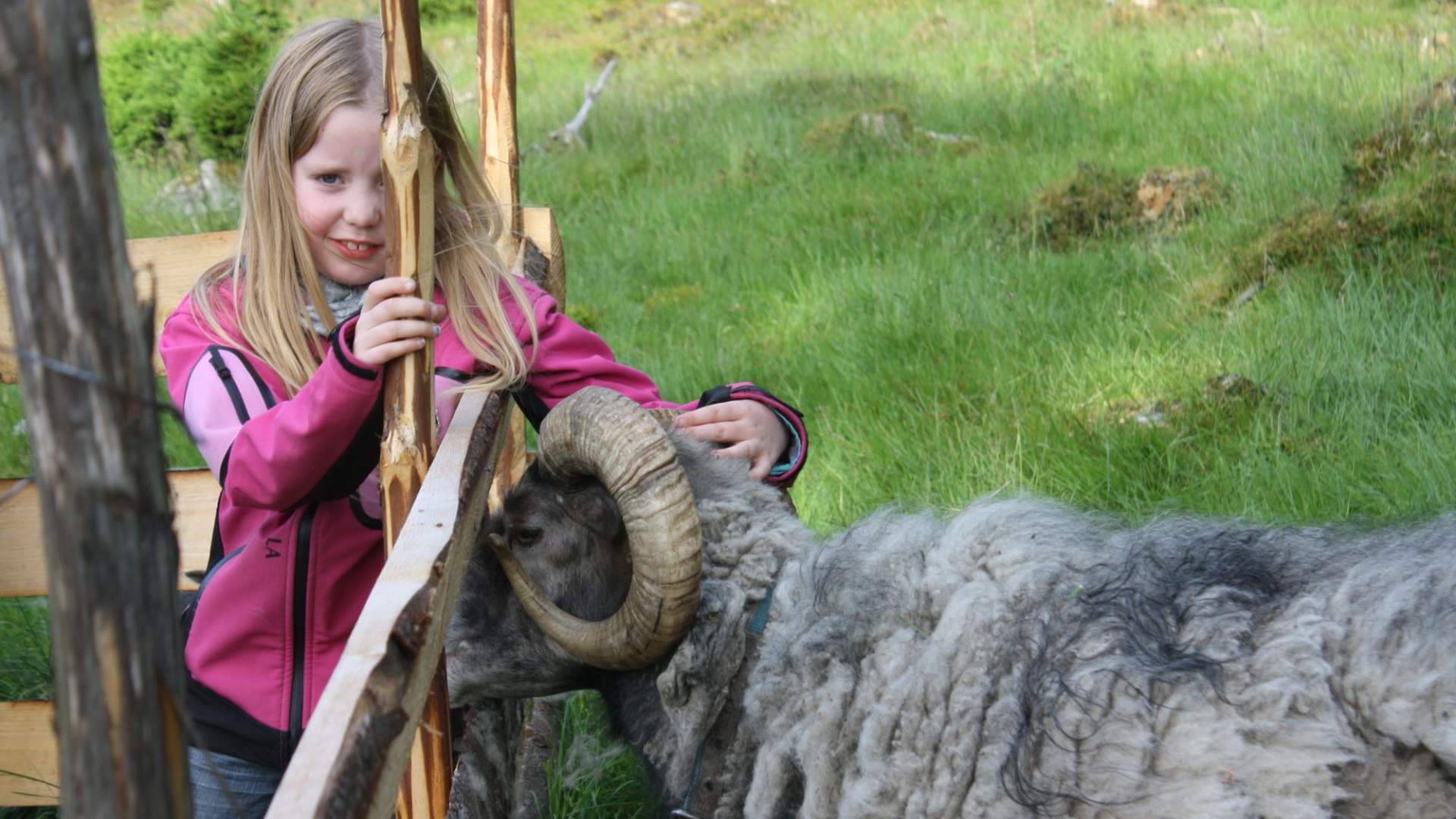 Egge museum | Cultural Heritage | Steinkjer | Norway