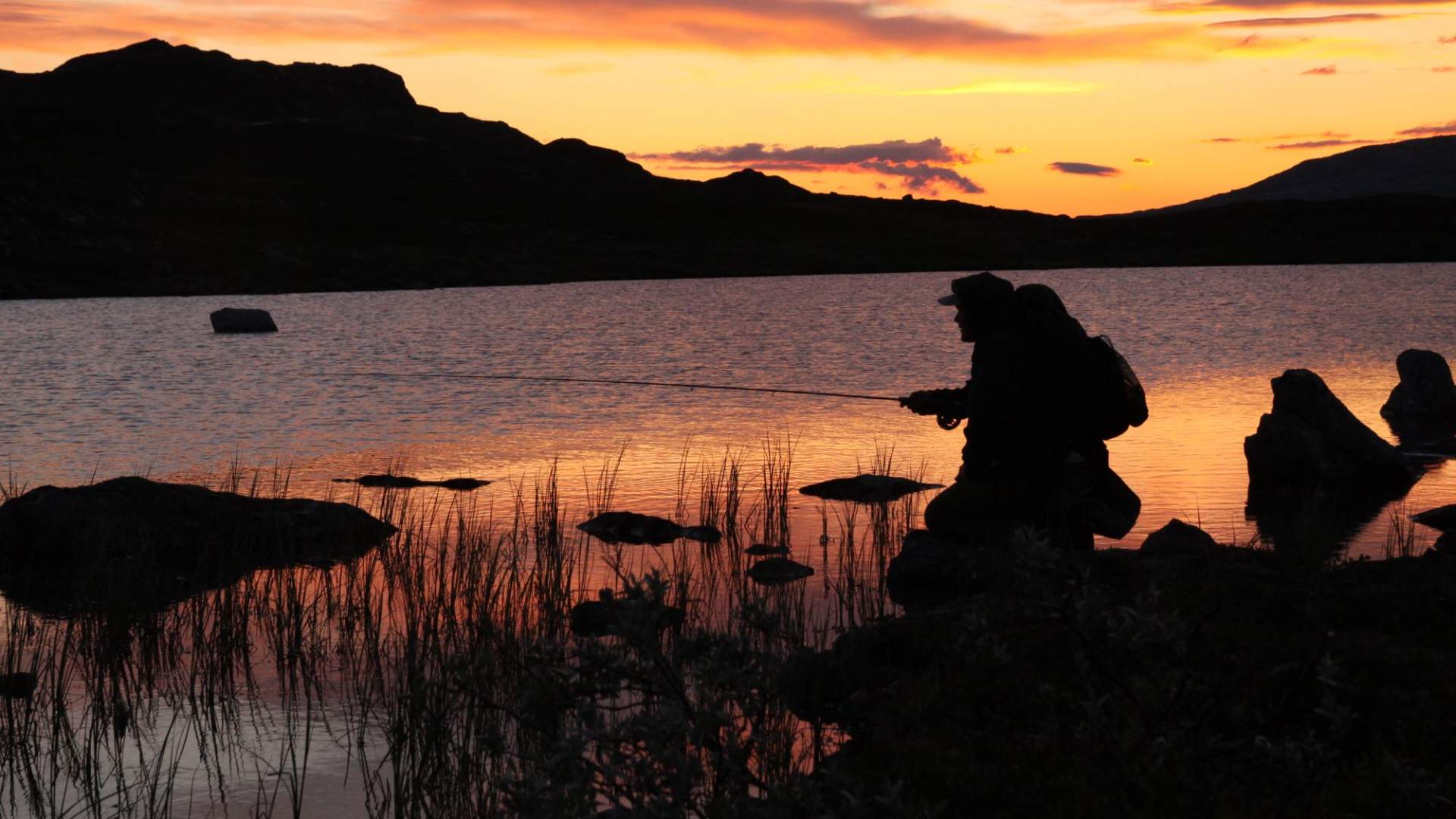 Fisketur med personlig guide | Hiking | Oppdal | Norway