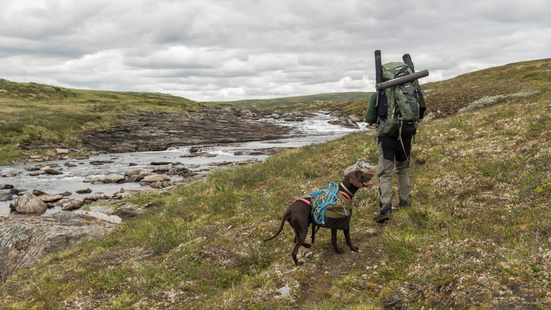 Fishing trip with personal guide. | Hiking | Oppdal | Norway