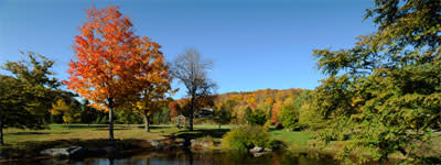 New York Nature Centers | Rogers Center, Tifft Nature Preserve