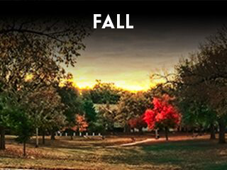 Annual Events | Wichita KS