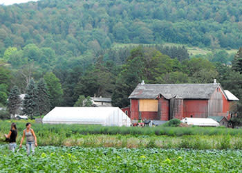 The Catskills Itinerary | Find Restaurants, Things to Do & Events