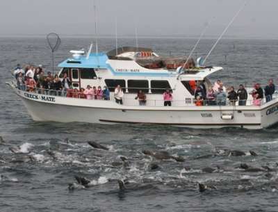 Deep Sea Fishing | Things To do | Monterey CA