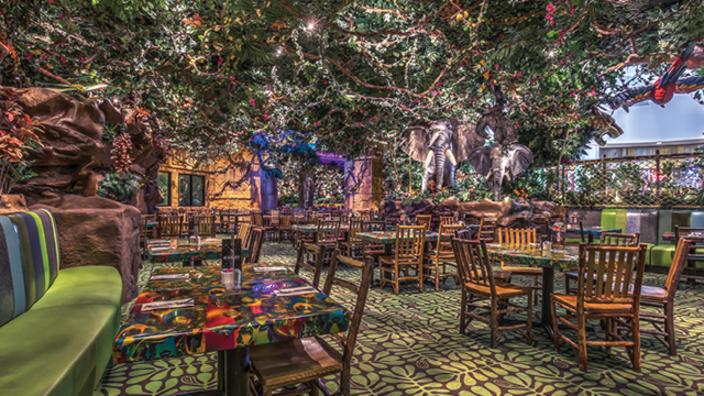 Rainforest Cafe | Las Vegas, NV