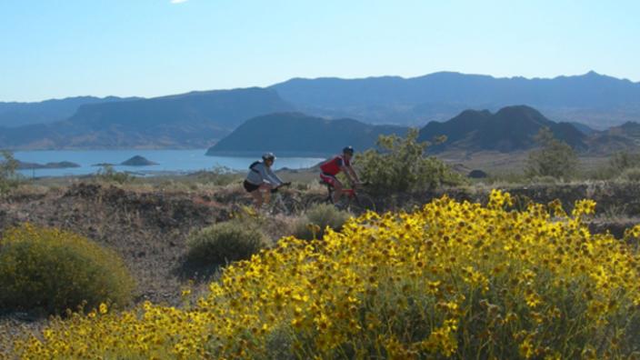 River Mountains Loop Trail | Boulder City, NV