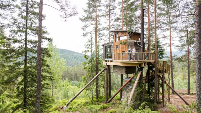 Trehyttene i Gjerstad | Cottages & Holiday Houses | Gjerstad | Norway