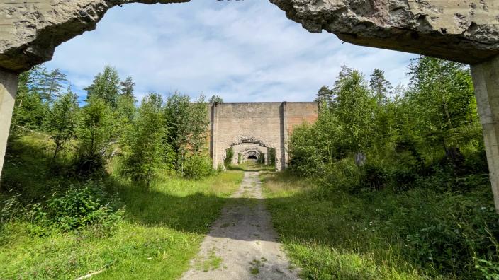 Trandumskogen | Cultural Heritage | Mogreina | Norway