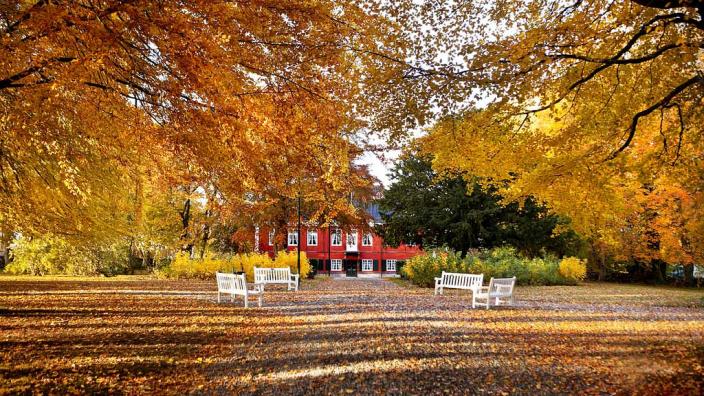 Ledaal | Guided Tours | Stavanger | Norway