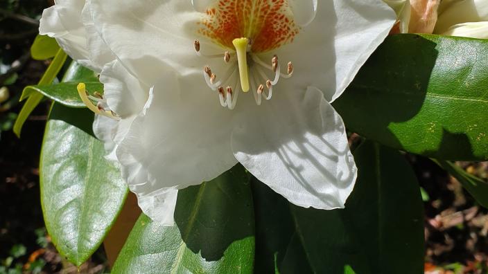 Rogaland Arboret | Hiking | Sandnes | Norway