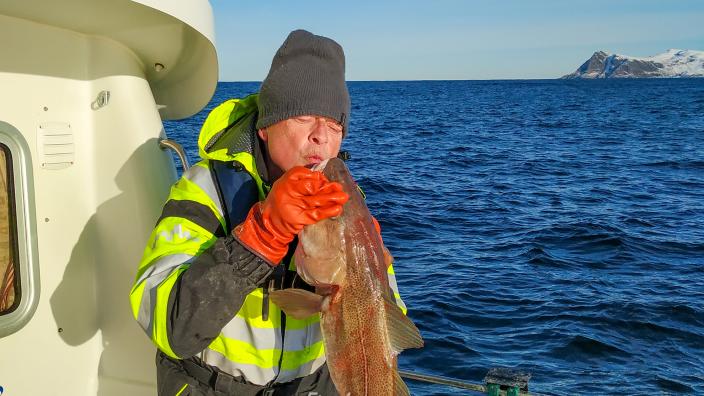 Fisketur med Fjordwise | Fishing | Ålesund | Norway