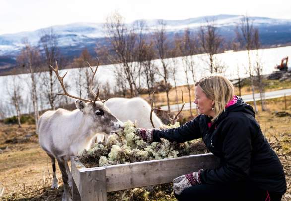 Fjellstue | Visit a mountain lodge