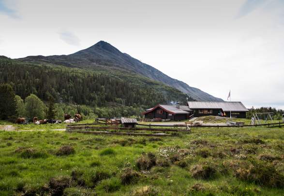 Dra til seters! | Stølsferie i Norge
