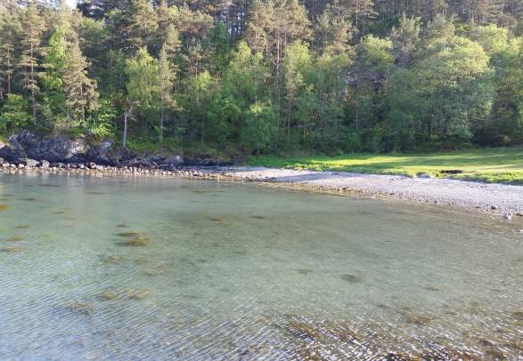 Strande | Sand, badepladser og solbadning
