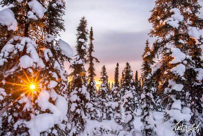Here's What Winter Solstice Looks Like in Fairbanks, Alaska