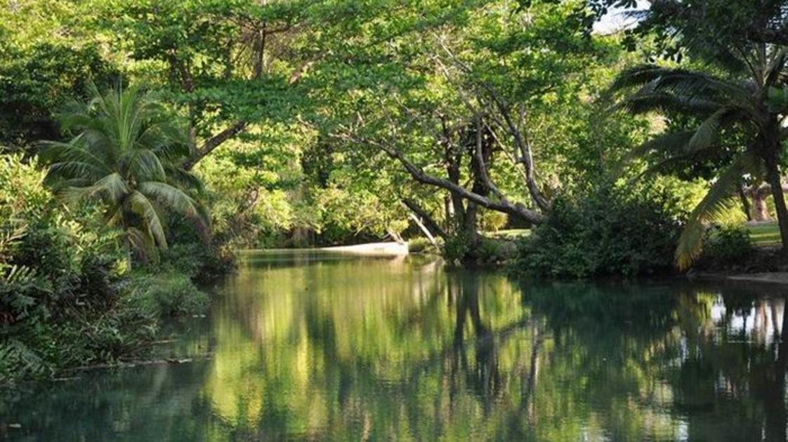 Frenchman's Cove Resort