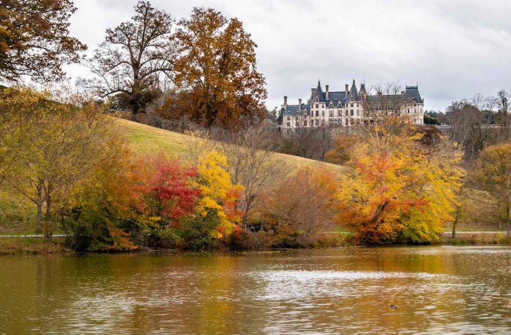Asheville 2018 Fall Color Report And Forecast Scenic Views Asheville Ncs Official Travel Site