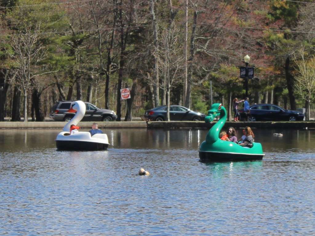 Camping in Rhode Island | Campgrounds, Lakes & State Parks in RI