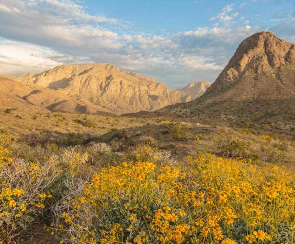 Santa Rosa & San Jacinto Mountains National Monument