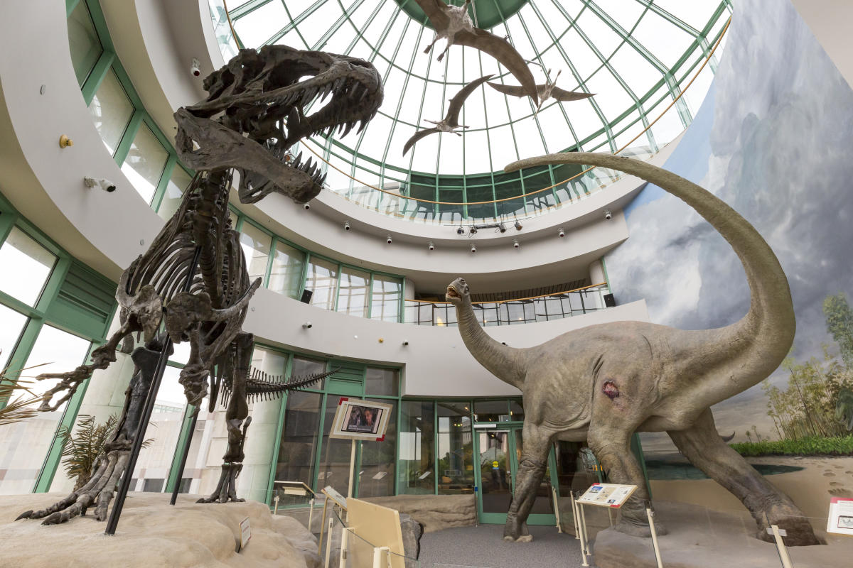North Carolina Museum of Natural Sciences in Raleigh, N.C. - Visit Raleigh