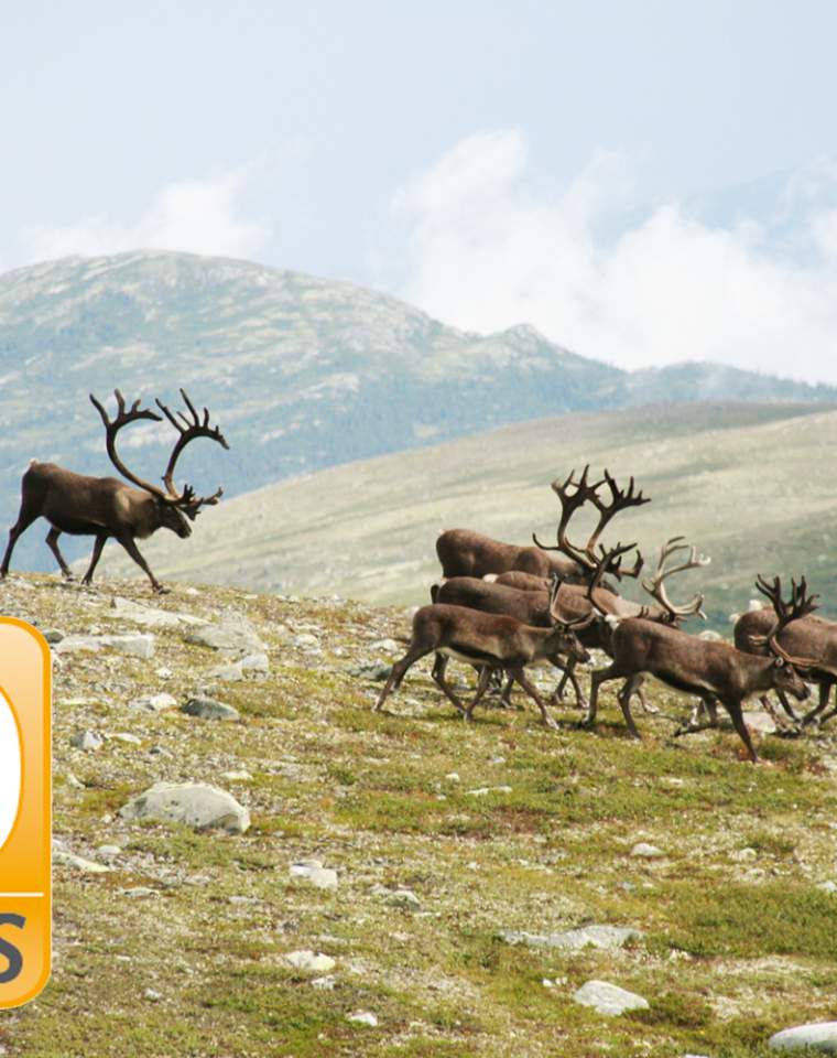 hardangervidda vinterstengt