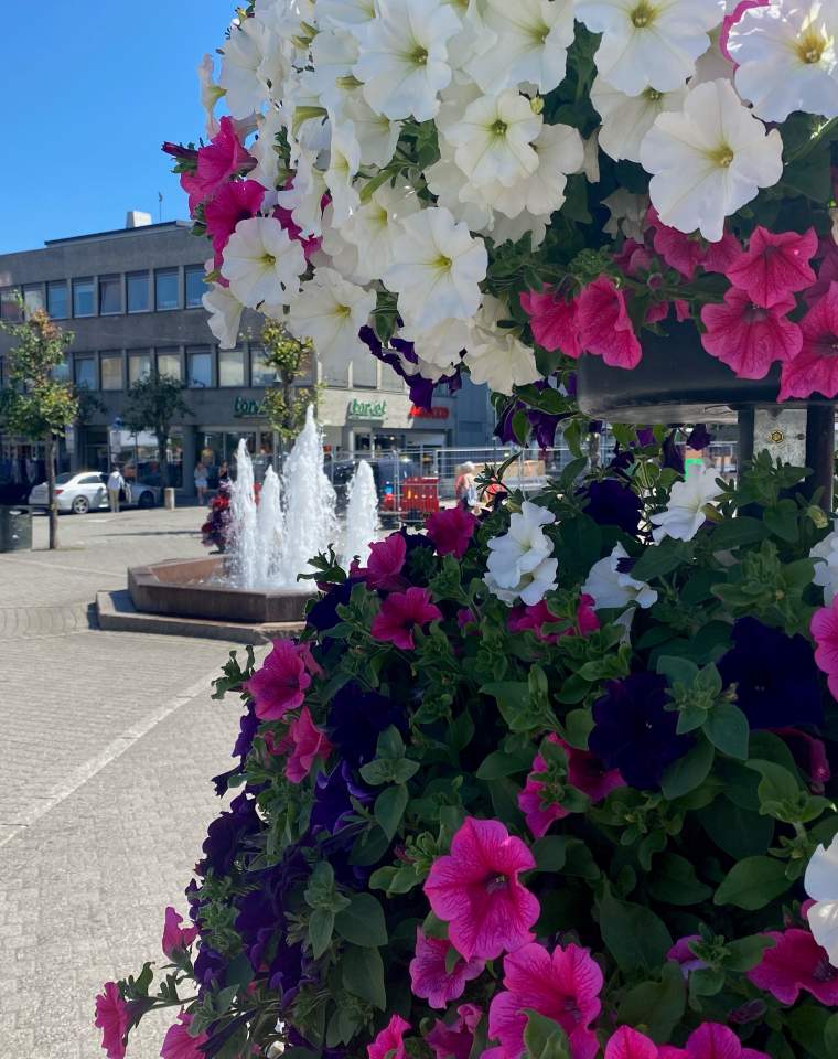 Ringvold | Food Traditions | Hønefoss | Norway