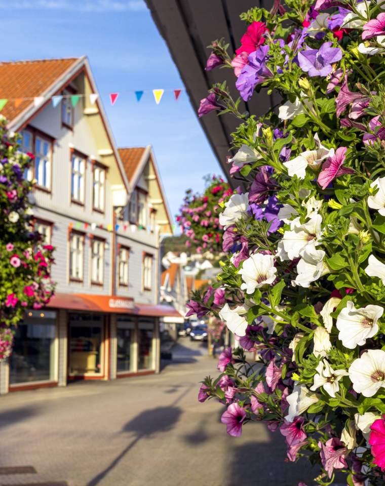 Bike rental at Egersund Tourist Information | Action & Adventure | Egersund | Norway