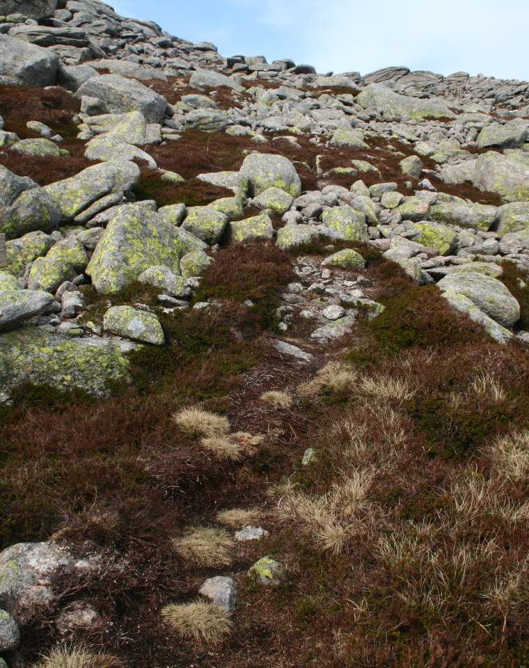 Hike to Solfjell | Hiking | Uskedalen | Norway