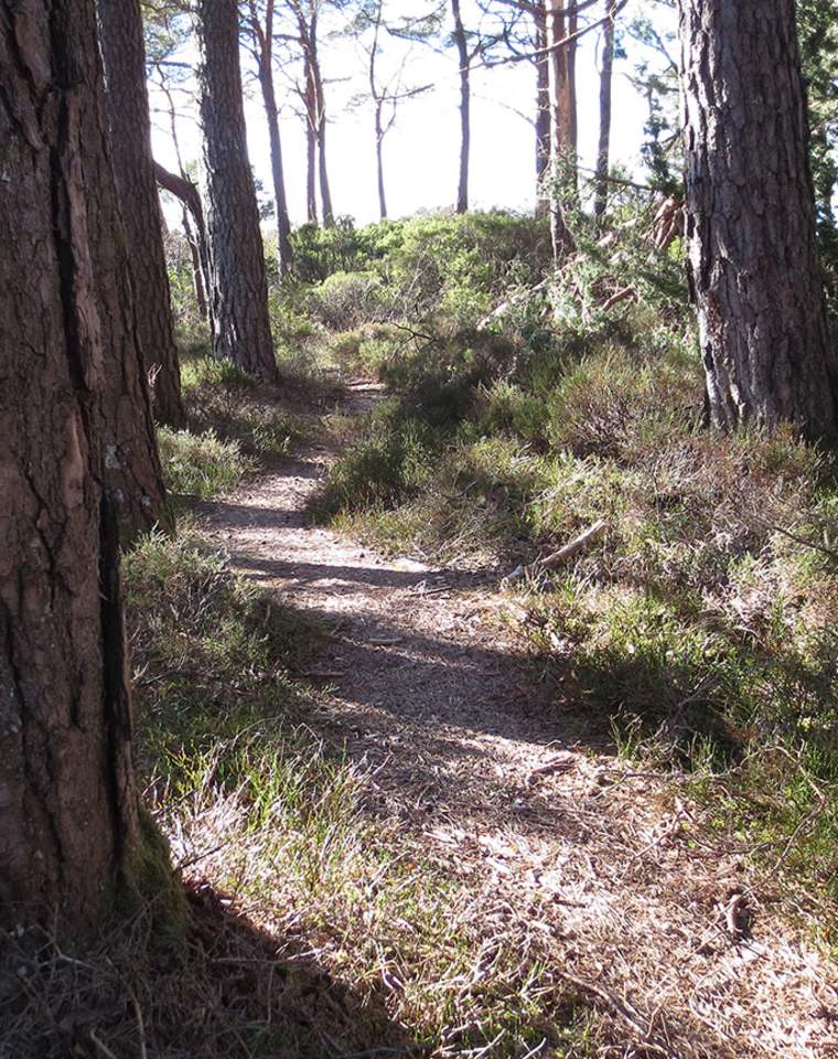 Moster Old Church | Cultural Heritage | Mosterhamn | Norway