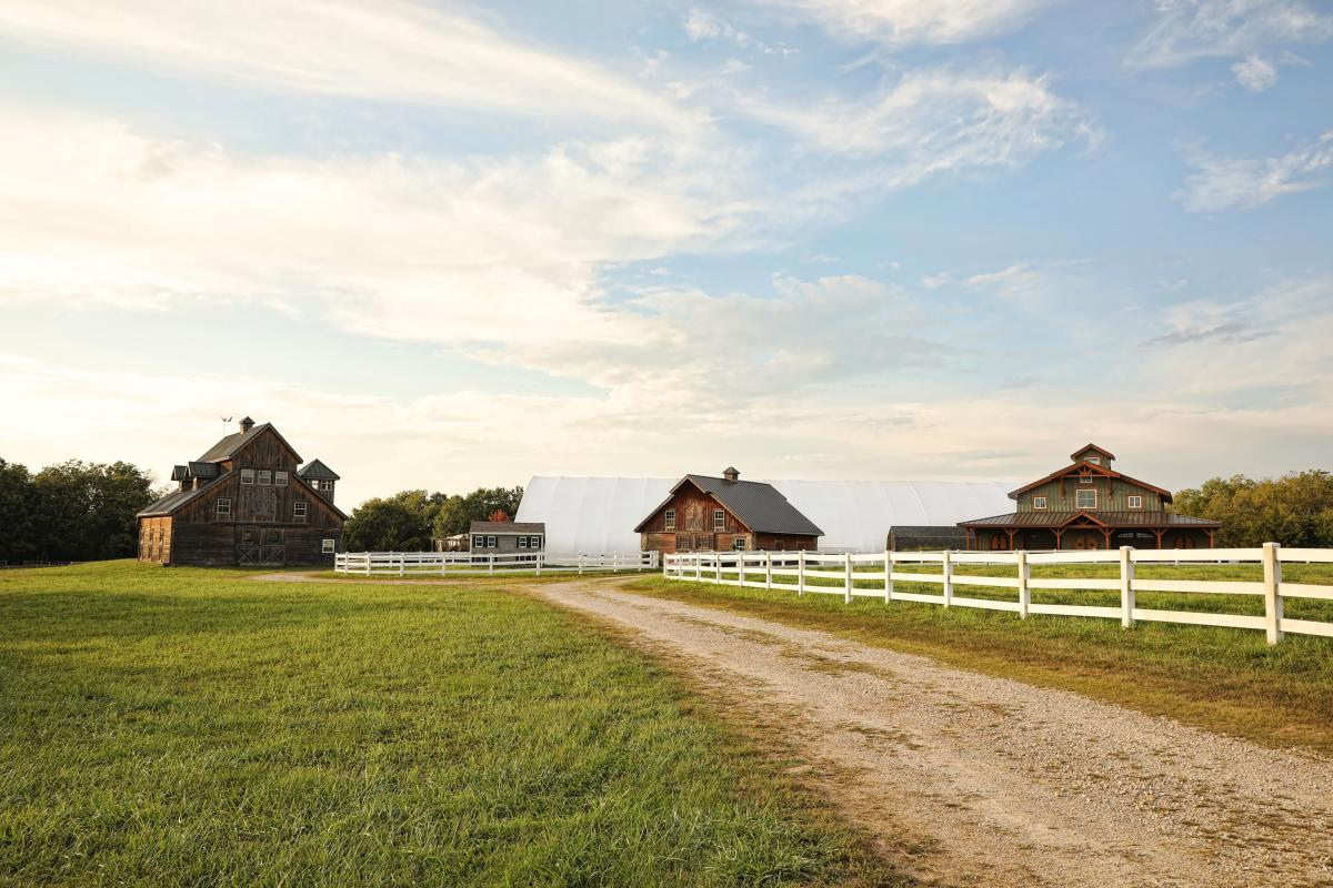 Serendipity Farm and Vine | Stilwell, KS 66085