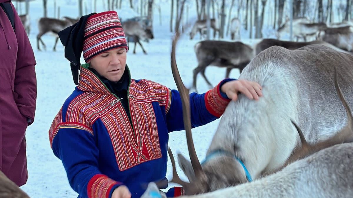 Reinsdyr opplevelse i samisk camp | Sami Culture | | Norway