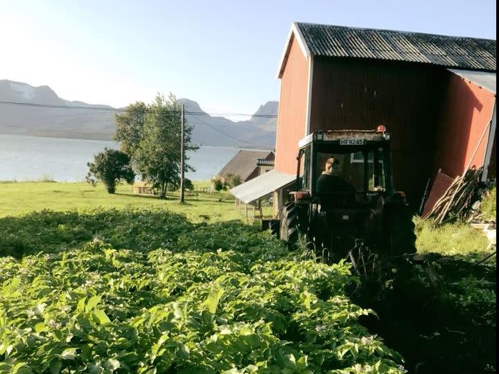 Farm visit with a guide | Farm Activities | Krokelvdalen | Norway