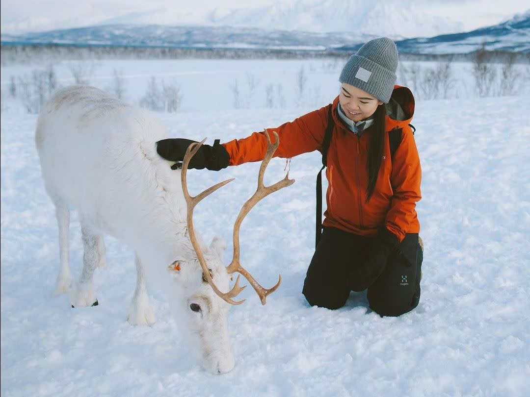 Samisk opplevelse med reinsdyrmating | Sami Culture | Ramfjordbotn | Norway