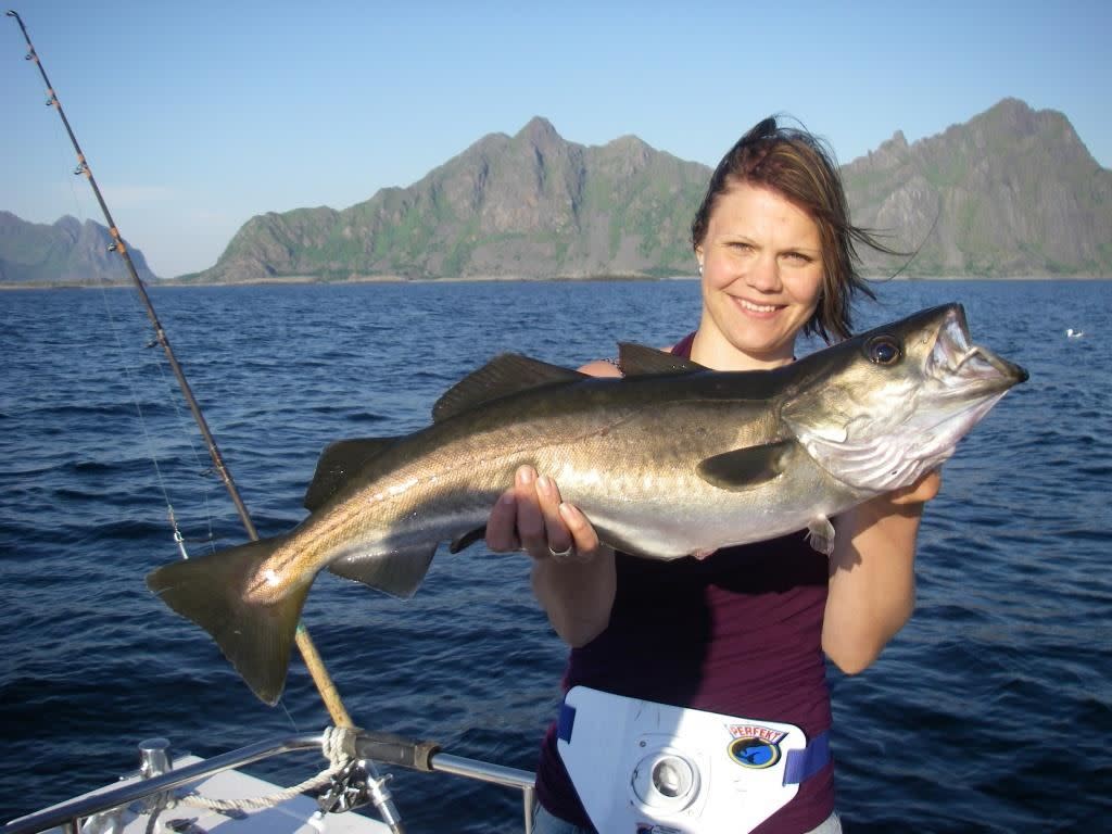 Angeln in Lofoten | Fishing | | Norway