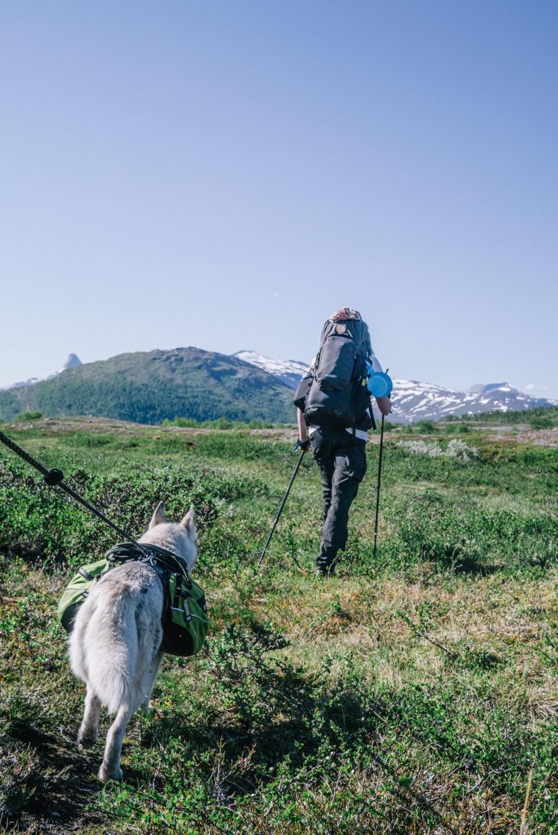 Hiking with huskies - Trasti & Trine | Riding & Sledging | Alta | Norway