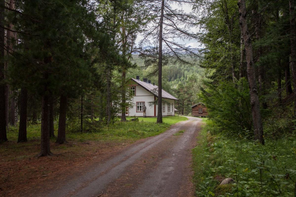 Skogvokterboligen | Apartments | Rognan | Norway