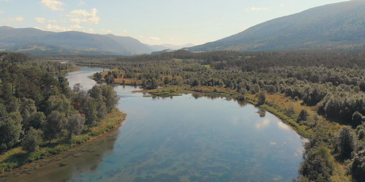 Fly fishing in Lesja | Fishing | Lesja | Norway