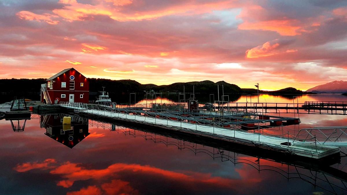 Norwegian Aquaculture Centre – a salmon success story | Nature ...